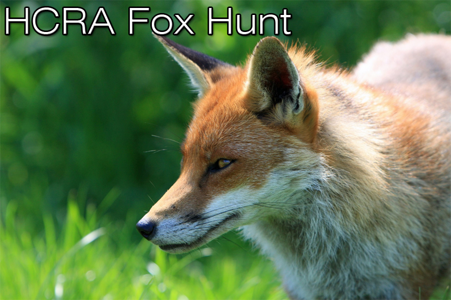 Fox Hunt | Hampden County Radio Association